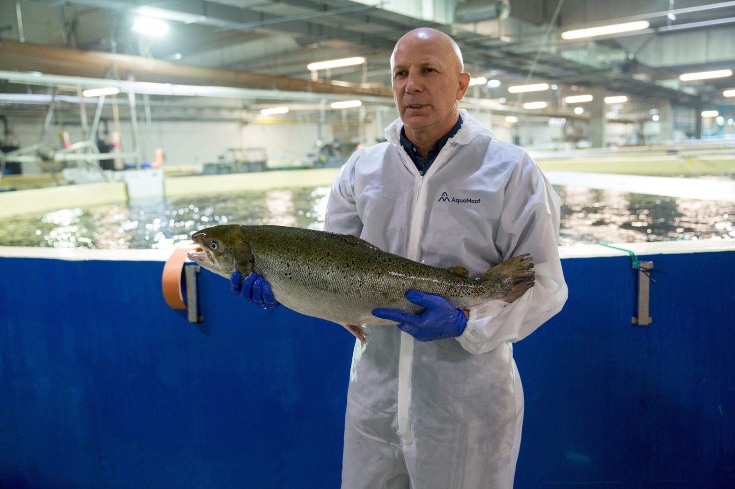 AquaMaof RAS Technology - Smart Salmon