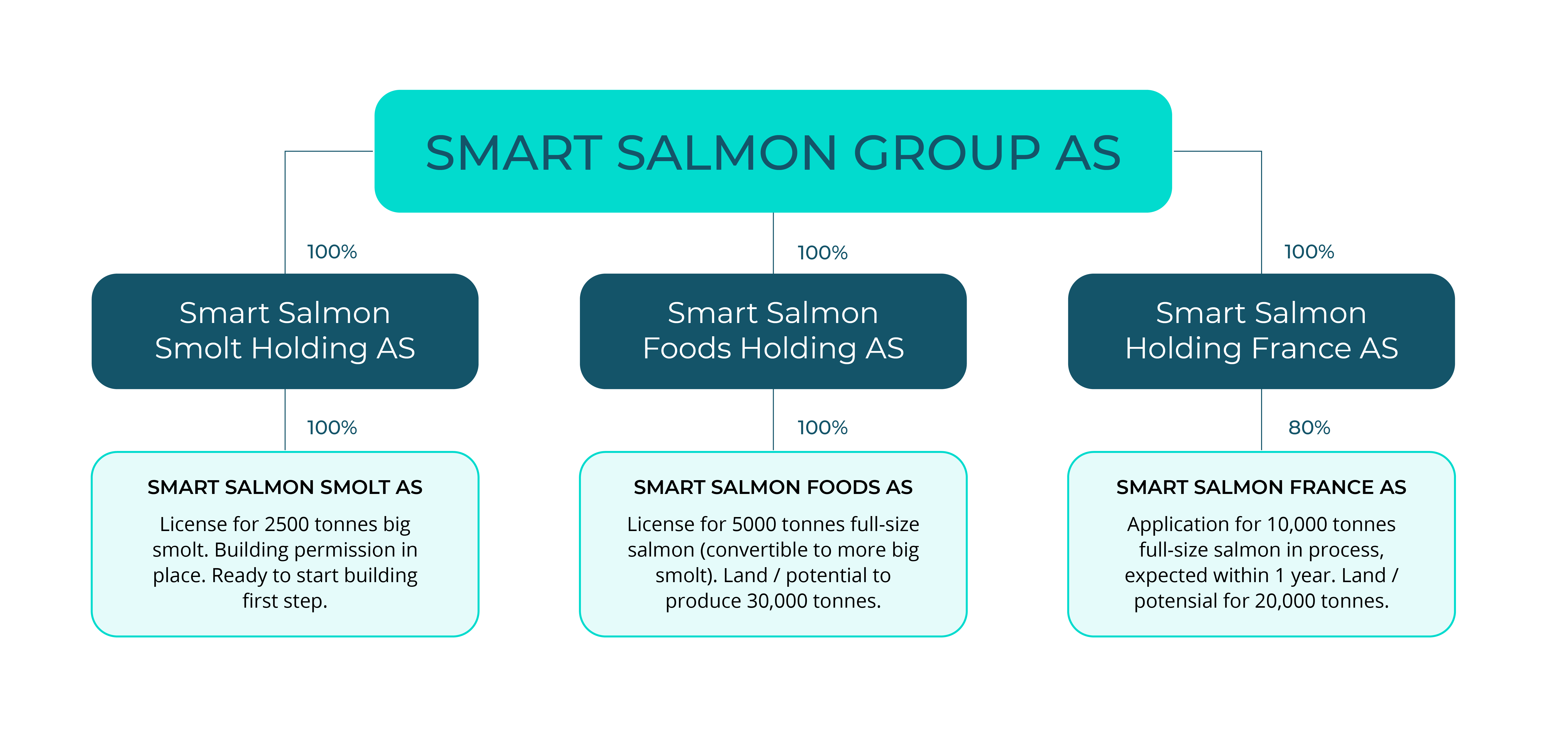 Land-based Large Smolt Producers - Smart Salmon