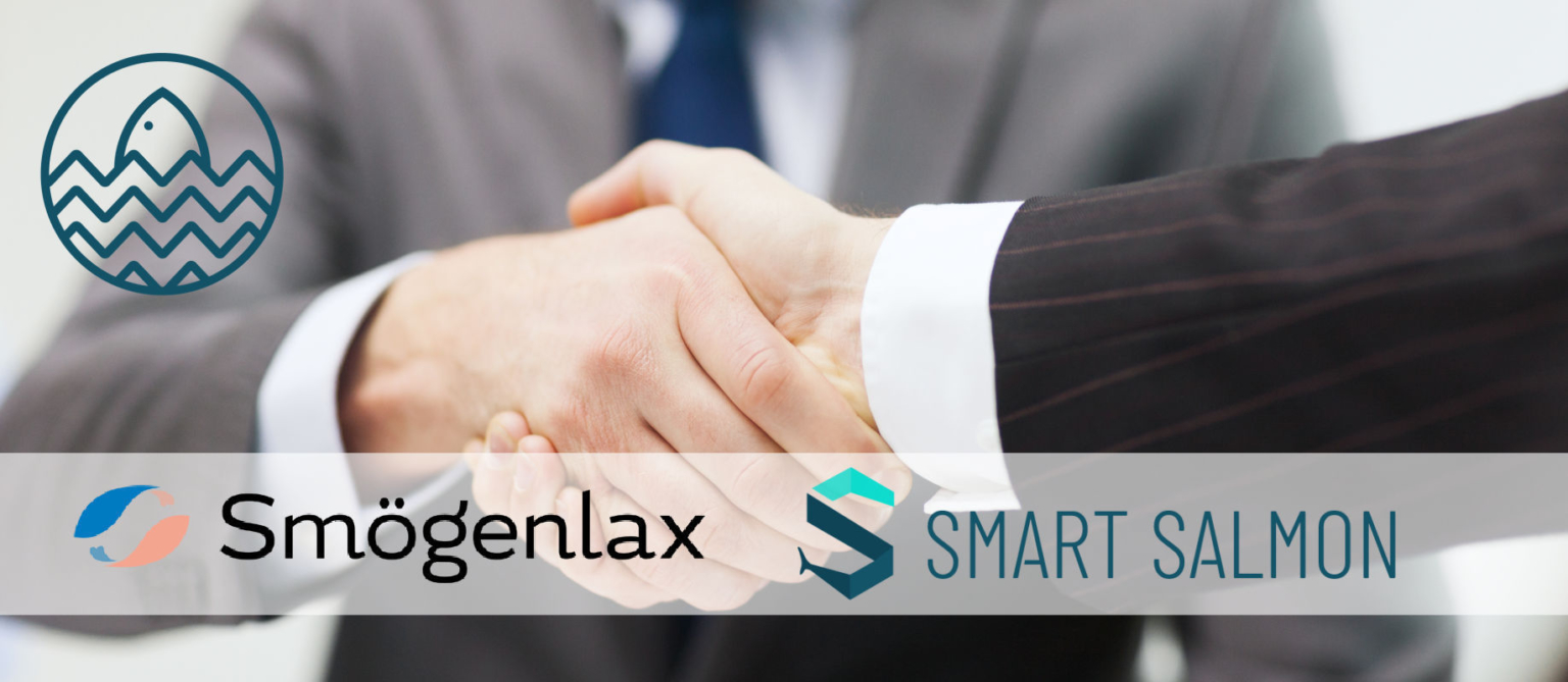 Smart Salmon partnering with Samonix - Smart Salmon