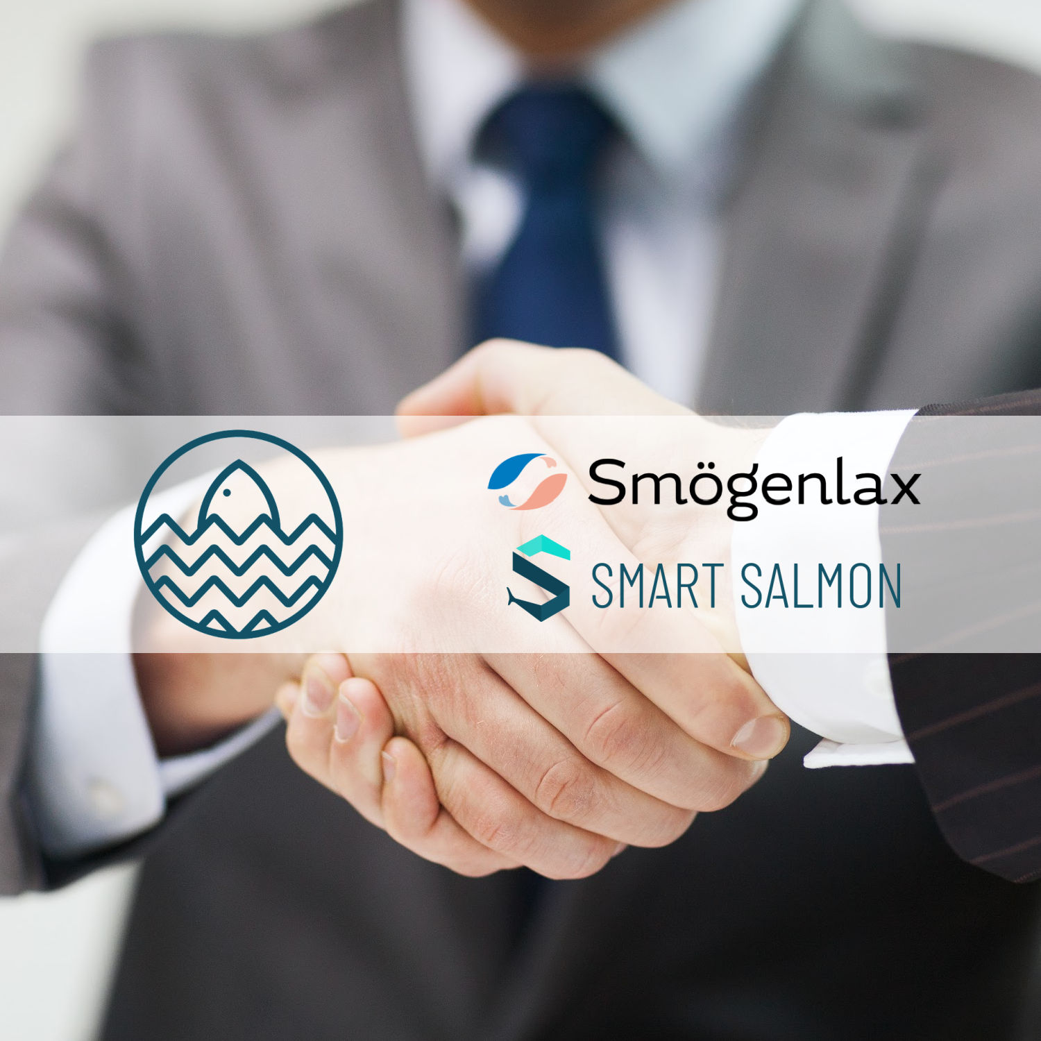 Smart Salmon partnering with Samonix - Smart Salmon